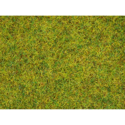 8310 Scatter Grass "Summer Meadow" 2.5mm 20g – Kapiti Hobbies